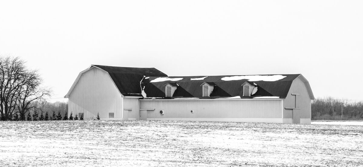 This Is a BIG Barn: This barn is one of the biggest I have seen around ...