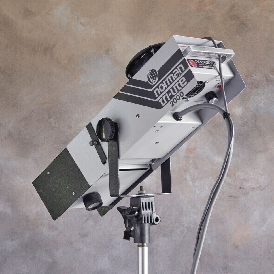 Uh oh! Holly again (Page 2): Smart, knows what she needs and wants ...