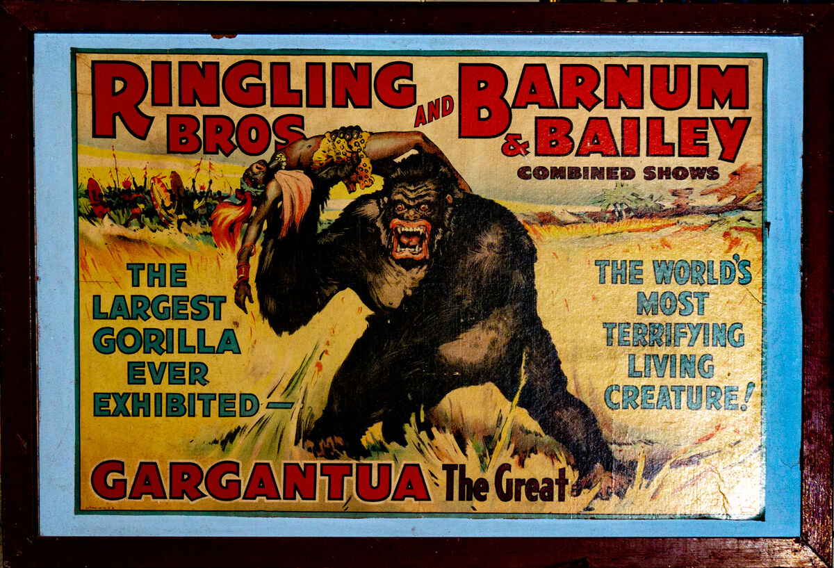 Exhibits in the Circus Barn: Headquarters for this year's Indiana Barn ...