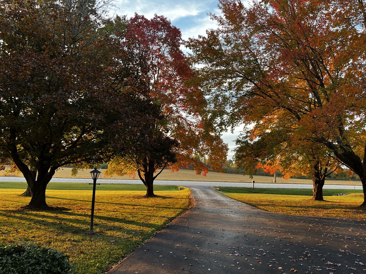Beautiful Southern Indiana in the Fall (47446): Morning view of my driveway headed to the donut ...
