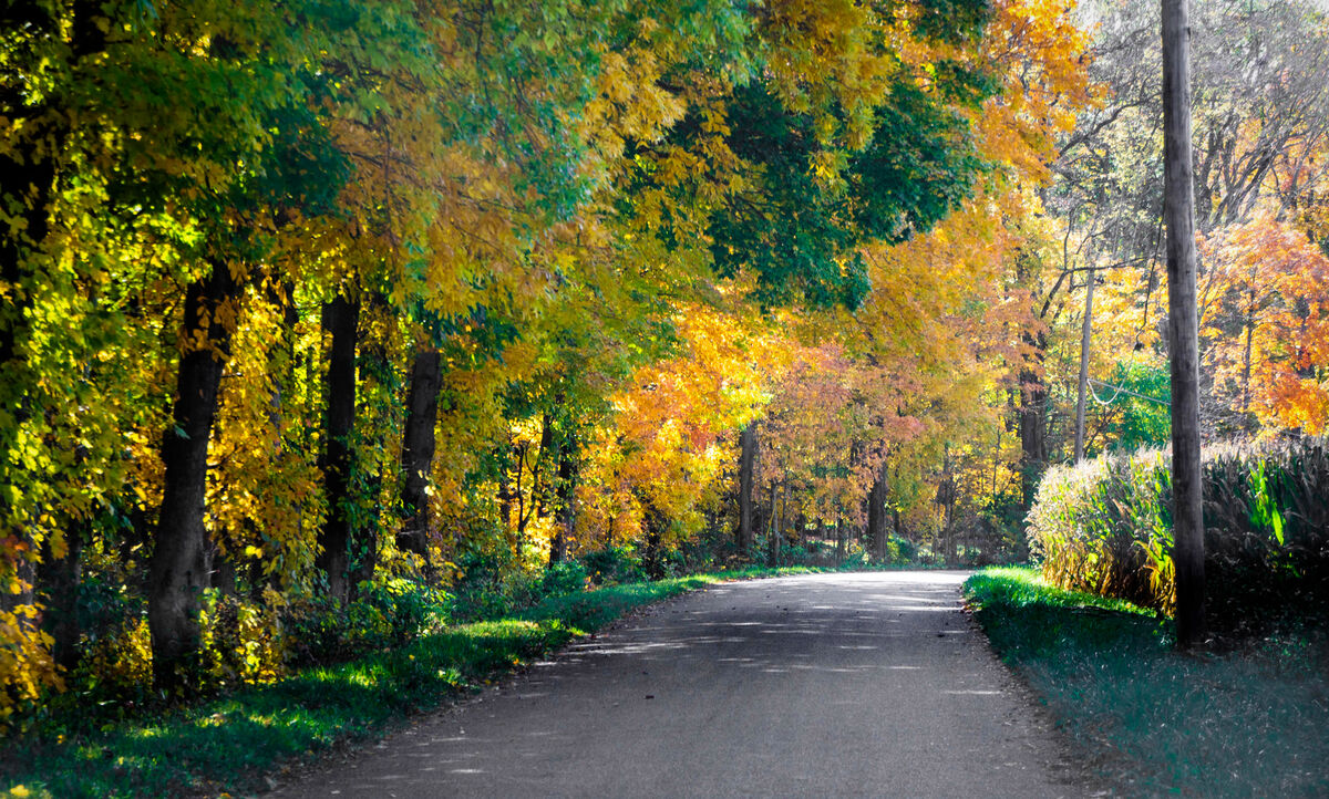 Down Neighborhood Back Roads: A few finds while out driving with my ...