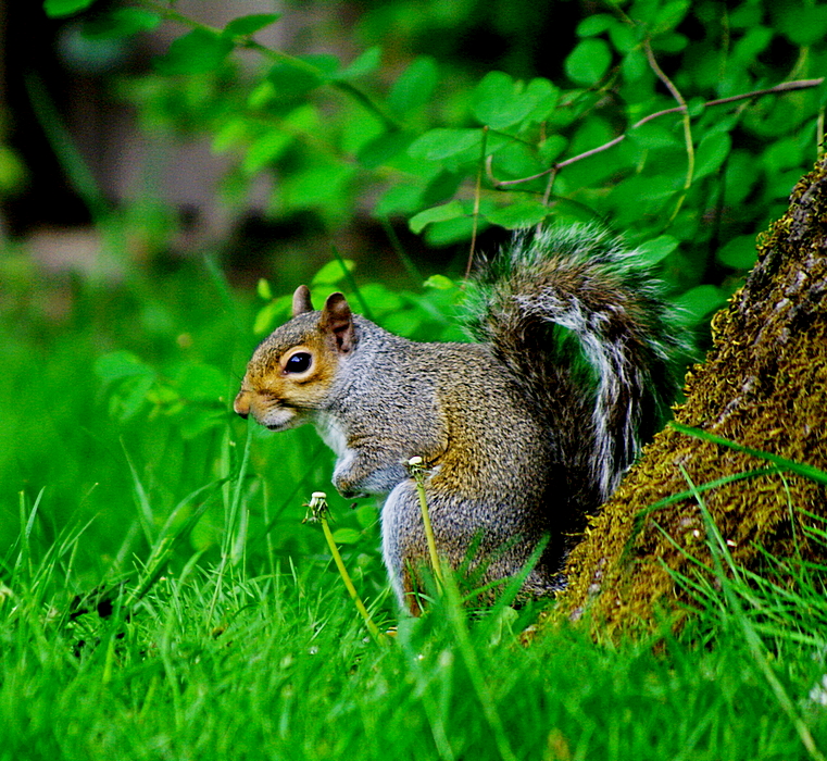 Time for a scratch: Lens: Pentax-FA 80-320mm Lens Camera: Pentax k-7 ...