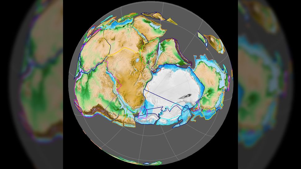 Scientists finally solve 390 million-year-old 'murder mystery' from an ...