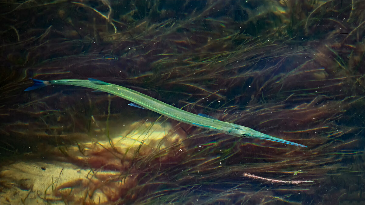 Views from the Terrace: Actually, from the balcony of the condo we ...