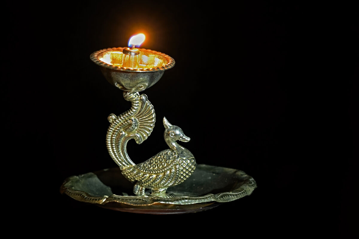In the midst of darkness, light persists: - Mahatma Gandhi. The peacock ...