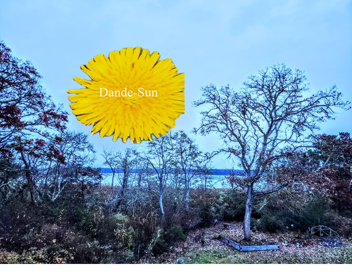 Dande-Sun: . Dande-Sun