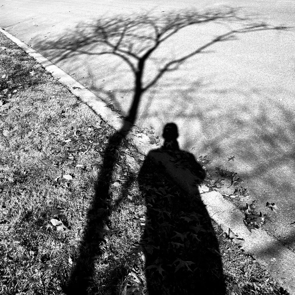 Shadows: On yesterday's morning walk the theme was Shadows. I create a ...