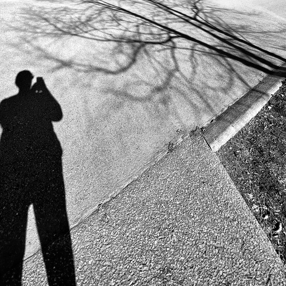 Shadows: On yesterday's morning walk the theme was Shadows. I create a ...