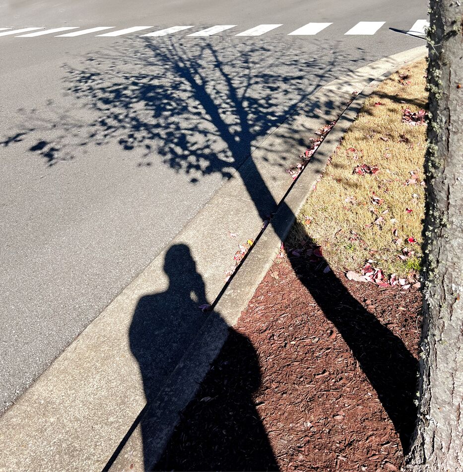 Shadows: On yesterday's morning walk the theme was Shadows. I create a ...