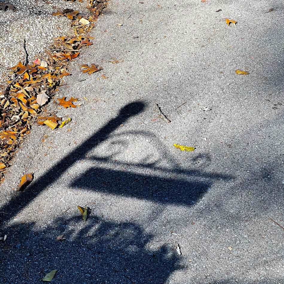 Shadows: On yesterday's morning walk the theme was Shadows. I create a ...
