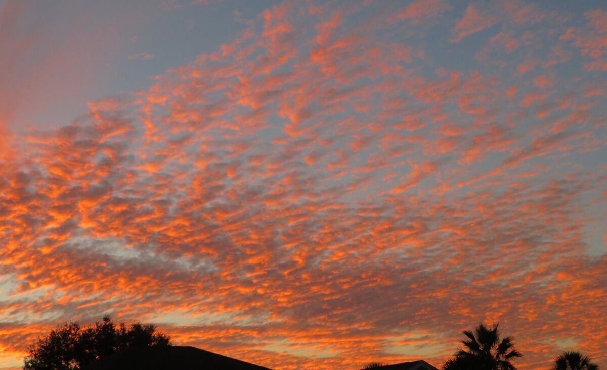Sunset: Four different shots of same day's sunset from our front porch.