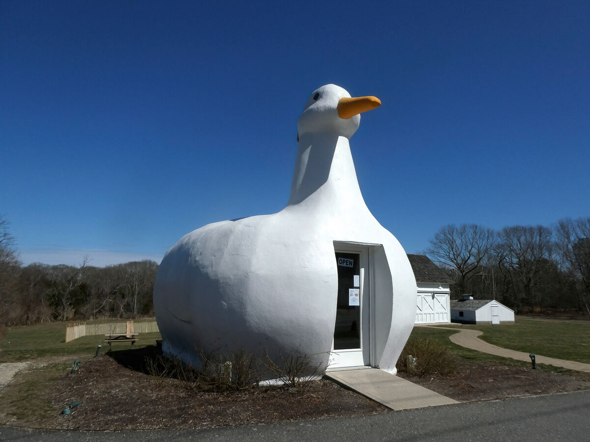 A Quaint Architectural Quack … I Mean Quirk: In the realm of ...
