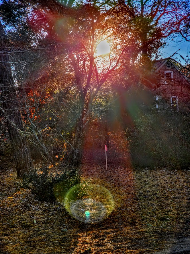 Flare: . I have a flare for photography, no?