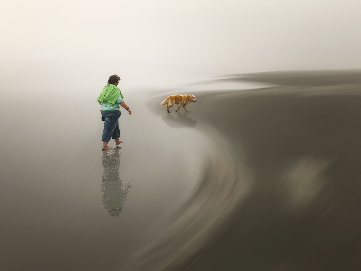 Woman and Dog, Josh Adamski Effect: dpullum talking about Josh Adamski ...