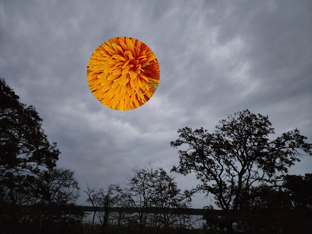 Solar Flower Power: . Solar Flower Power