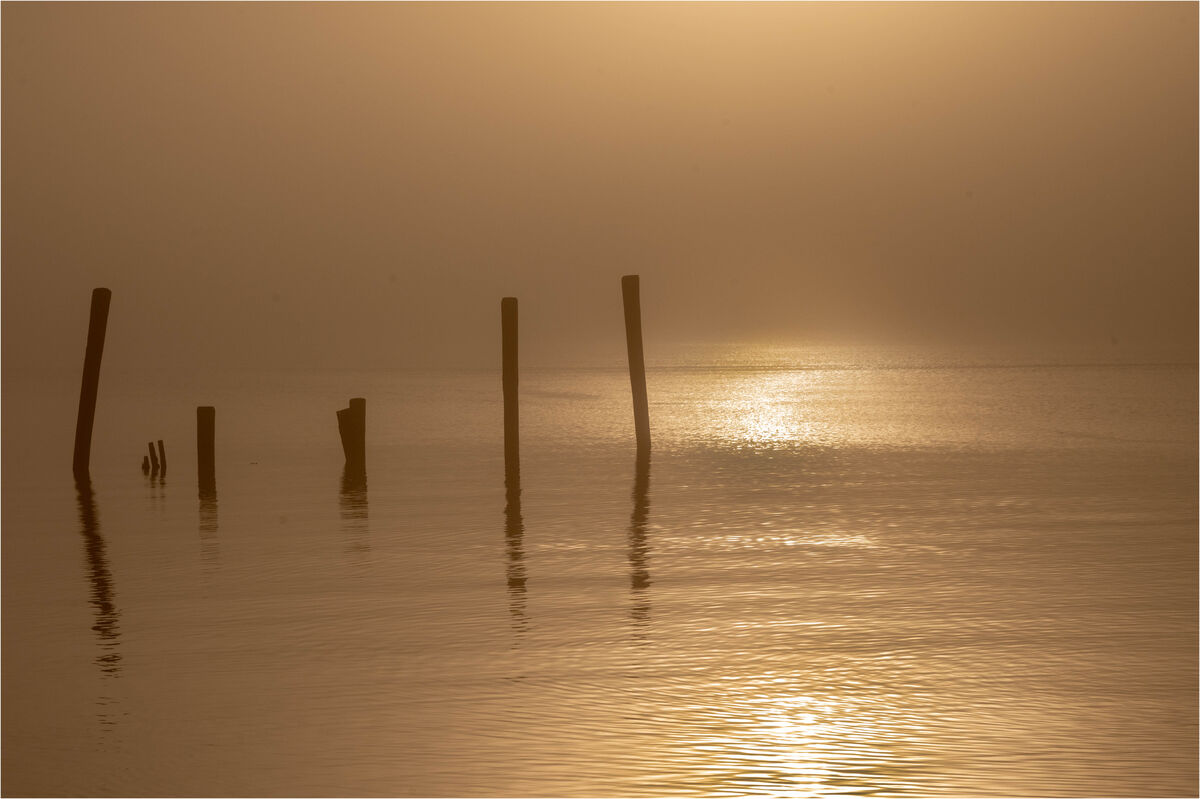 Morning Mist: Trying for some minimalism. Yesterday morning we had some ...