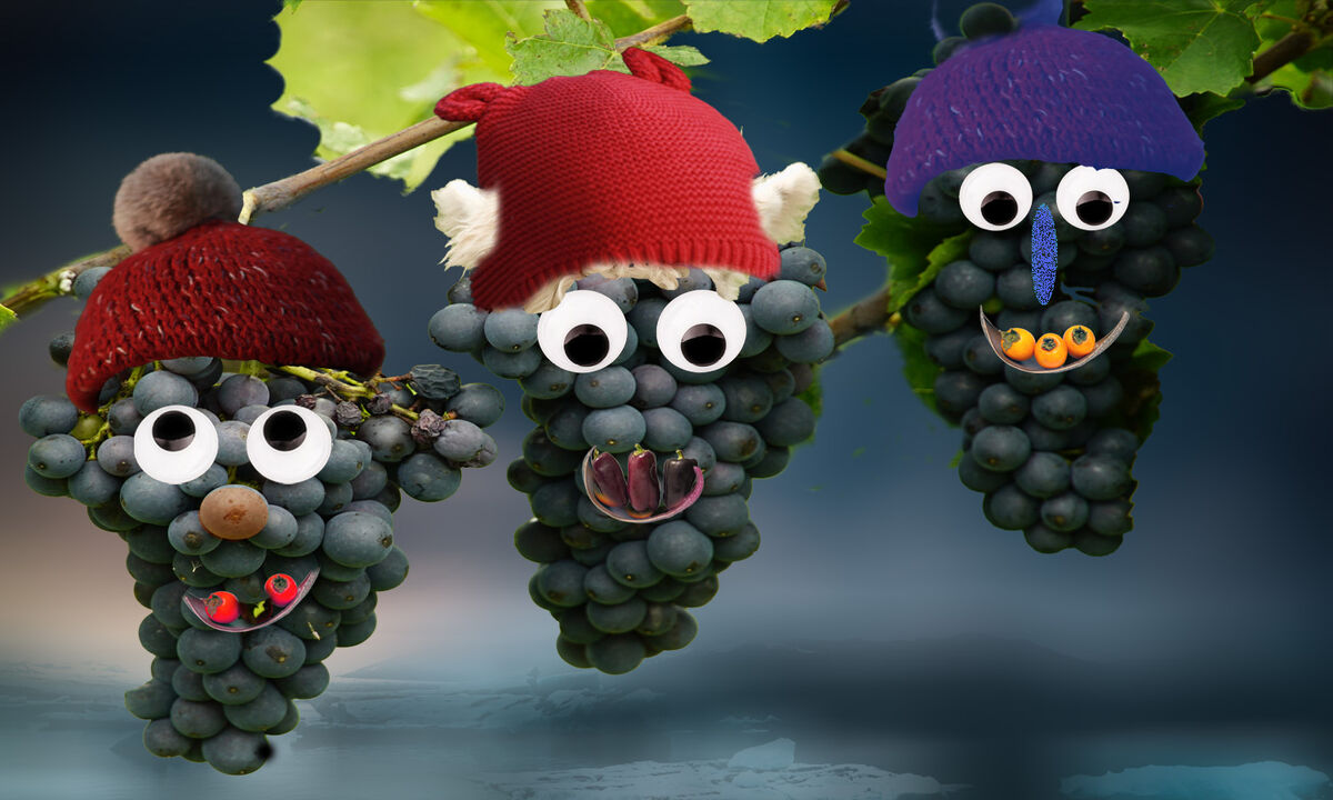 The Grape Brothers: This is my submission for the monthly challenge on ...