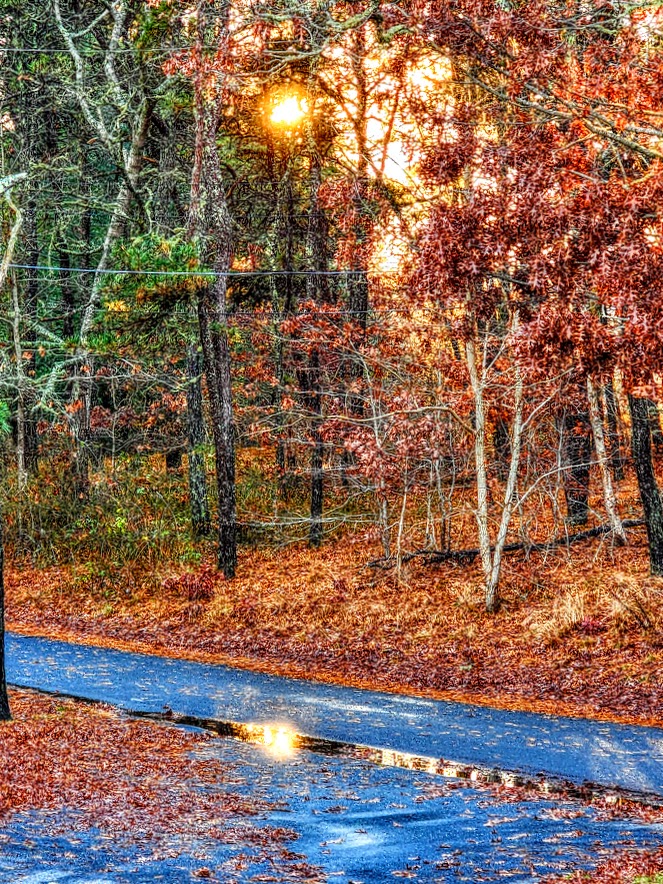 Puddle: . Sun Puddle Hop.