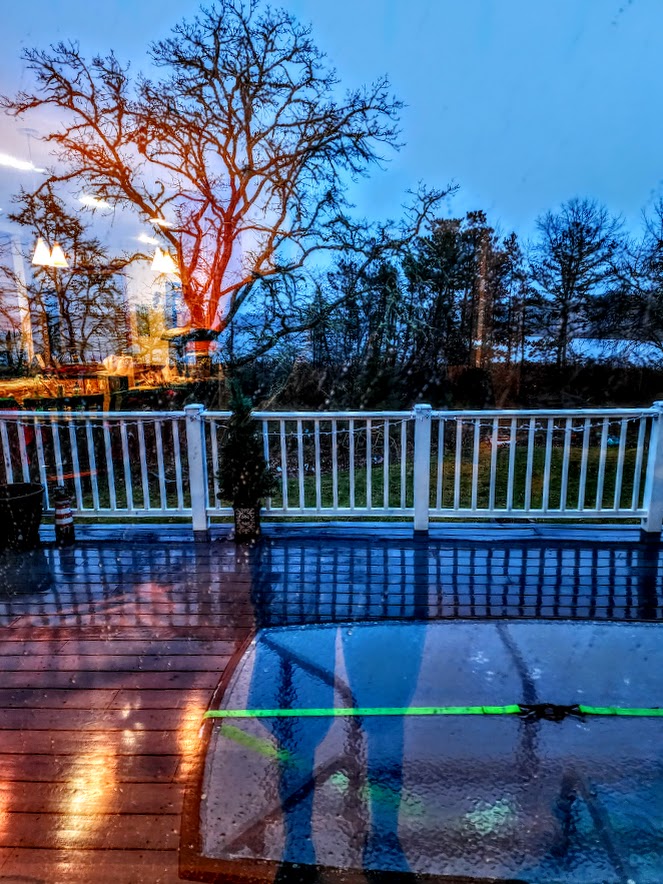 Puddle: . Sun Puddle Hop.