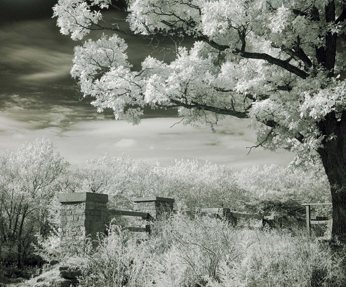 IR Wanderings: My little Sony Nex C3 converted to 720nm...