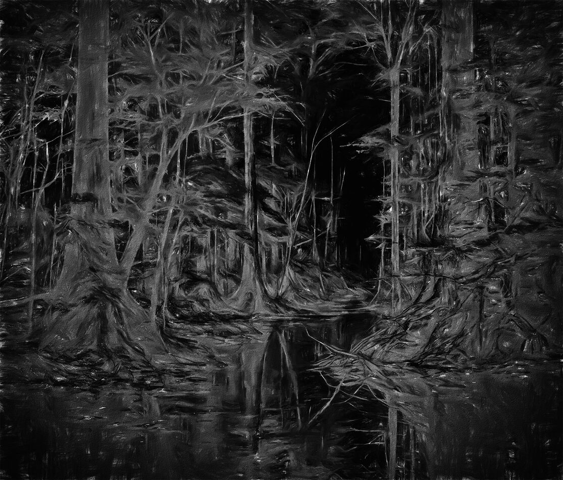 Night in the swamp: AI WARNING Processed first in ACR then Photoshop ...