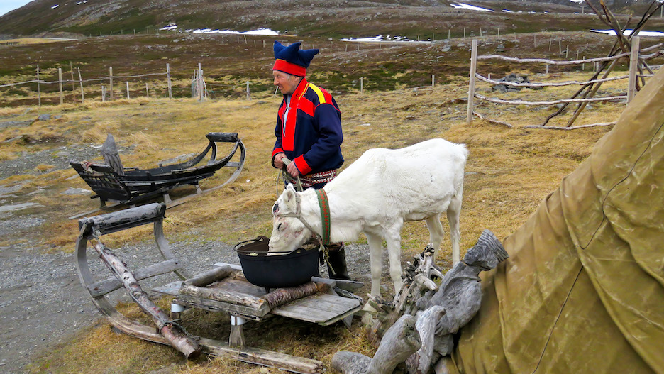 Guardians of the Arctic North Part 1 of 2: Lapland, a vast and ...