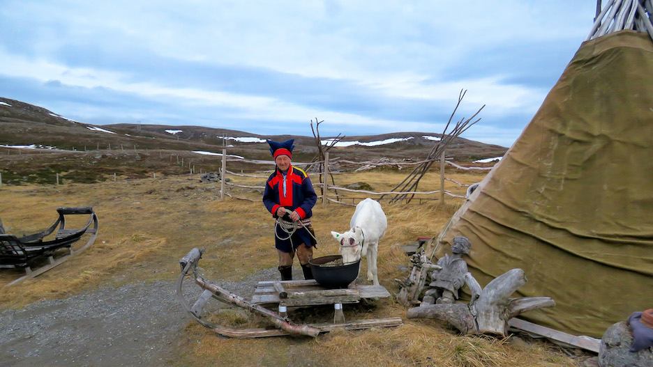 Guardians of the Arctic North Part 1 of 2: Lapland, a vast and ...