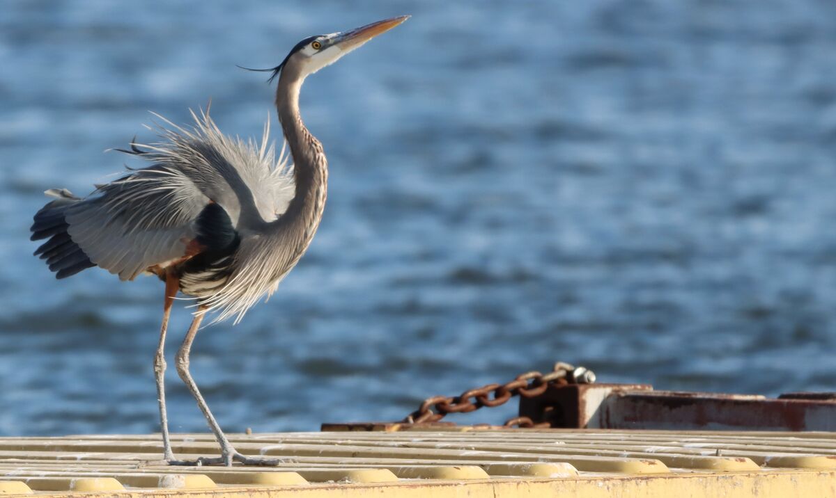 How to frustrate an inexperienced photographer! I had the opportunity ...