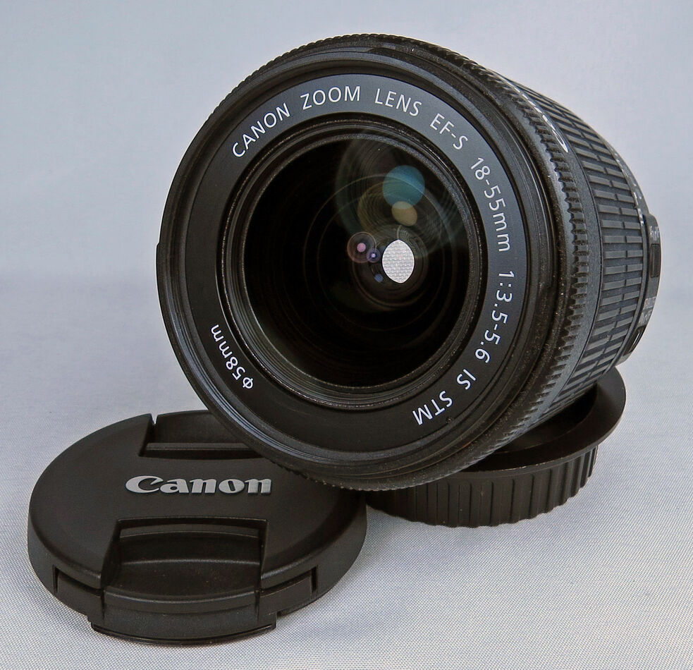 Canon EOS Rebel SL1 18 Megapixel Camera with 18-55mm Lens Sold ...