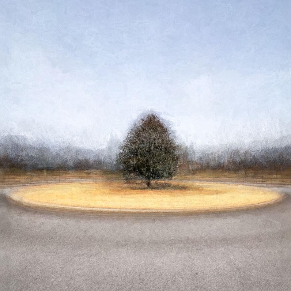 Another Attempt At The Pep Ventosa Effect: Originally I took 113 images ...