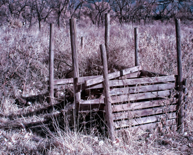 False Color Infrared @ Little Red Schoolhouse: Expansive nature center ...