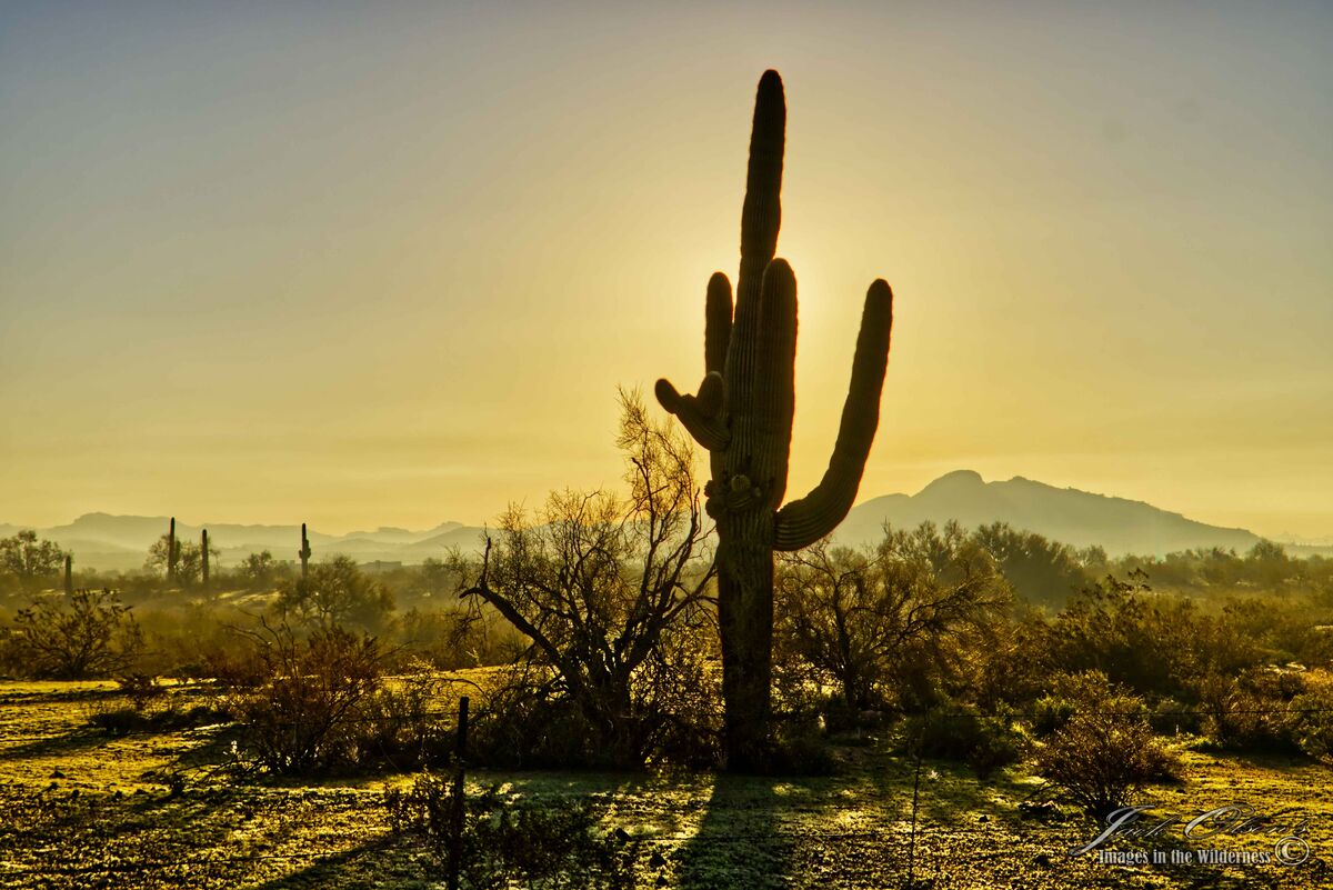 Smoke, Fog, Haze or Dust? The other morning, just prior to sunrise, I ...