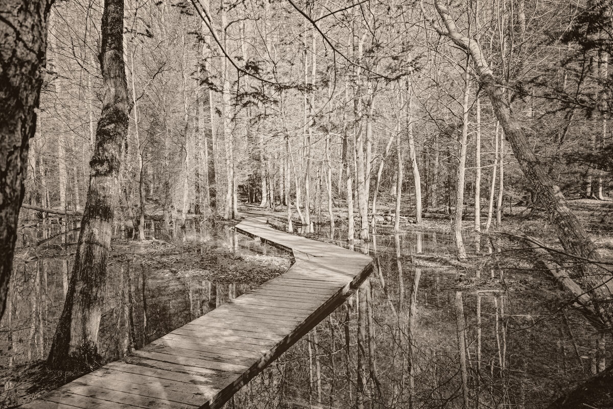 Hiking Bays Mountain: Bays Mountain Park near Kingsport Tennessee ...