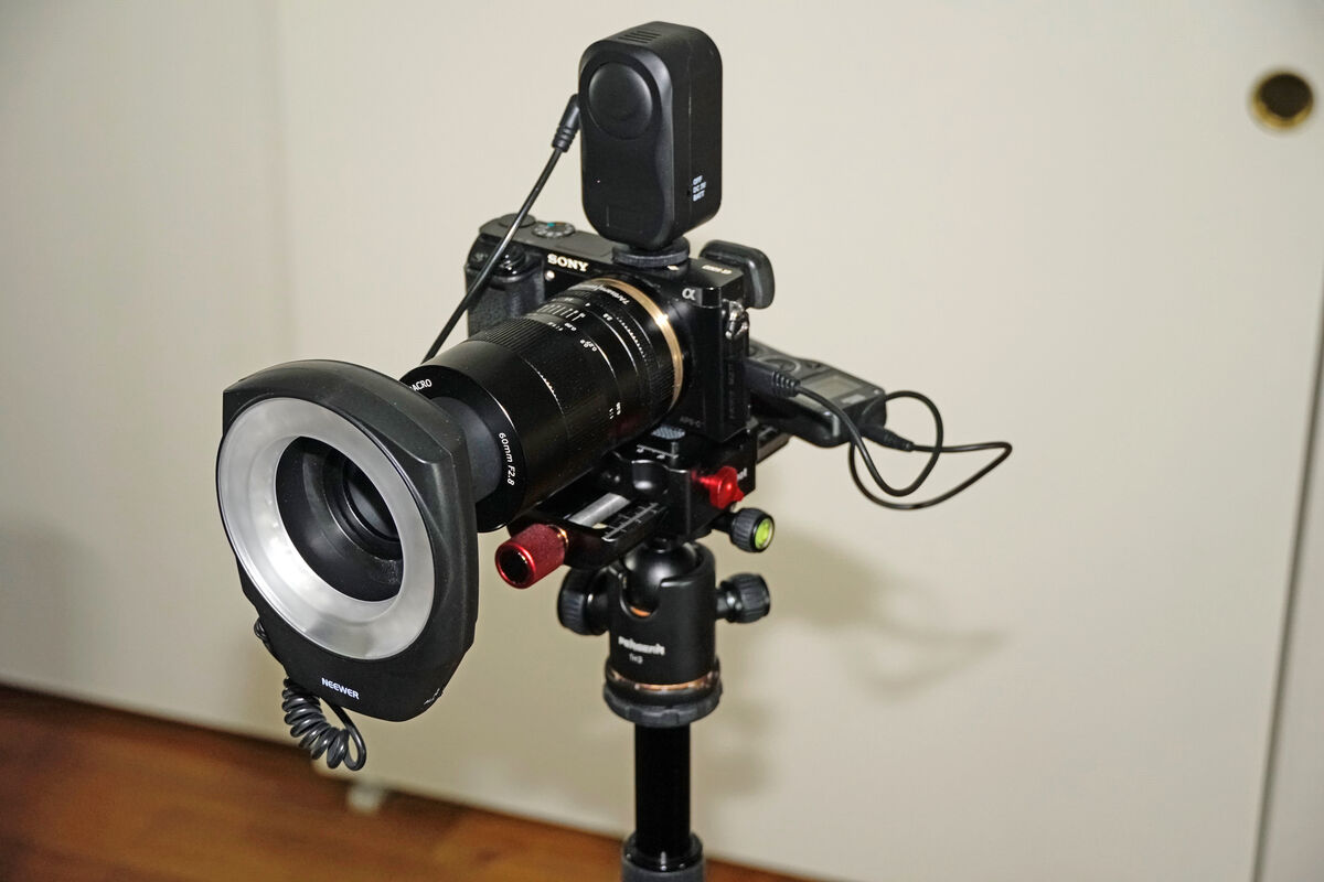 Macro Set-Ups: I've just finished putting together a macro set-up. I've ...