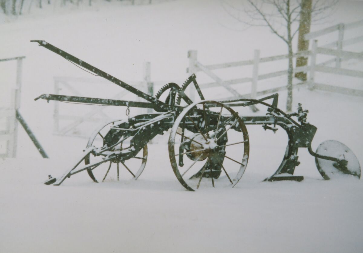 Patiently waiting.........for Spring: Patiently waiting.........for Spring.