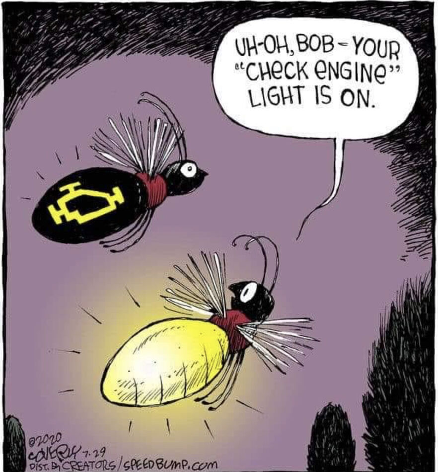 Funny, Check engine light: LOL...