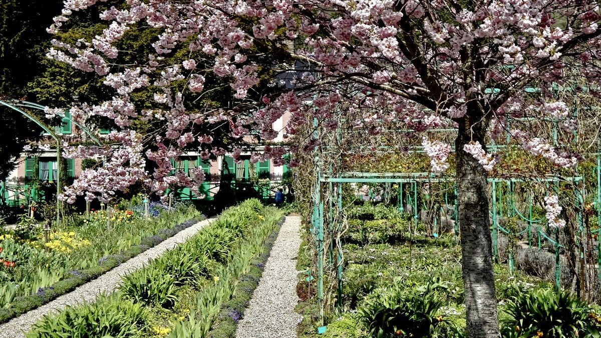 Wandering the path in Monet’s gardens: This is before and after of a ...