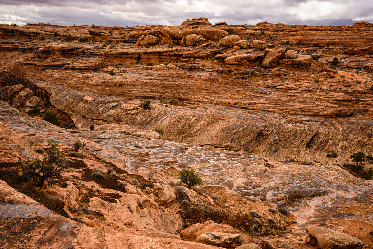 More from Utah's Slickrock Ocean: Yes we had rain and cold weather, but ...