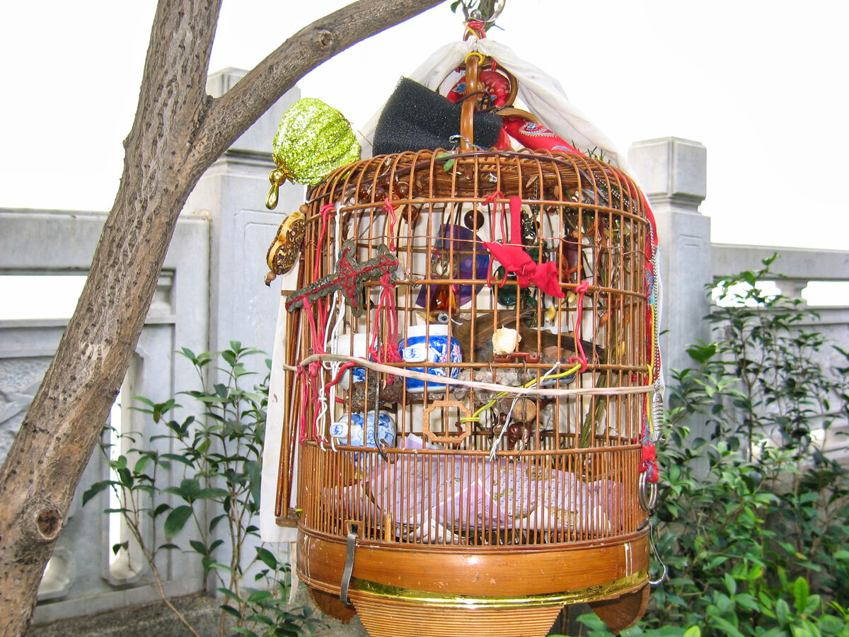 Hong Kong Part 16: The Yuen Po Street Bird Garden: We walked through ...