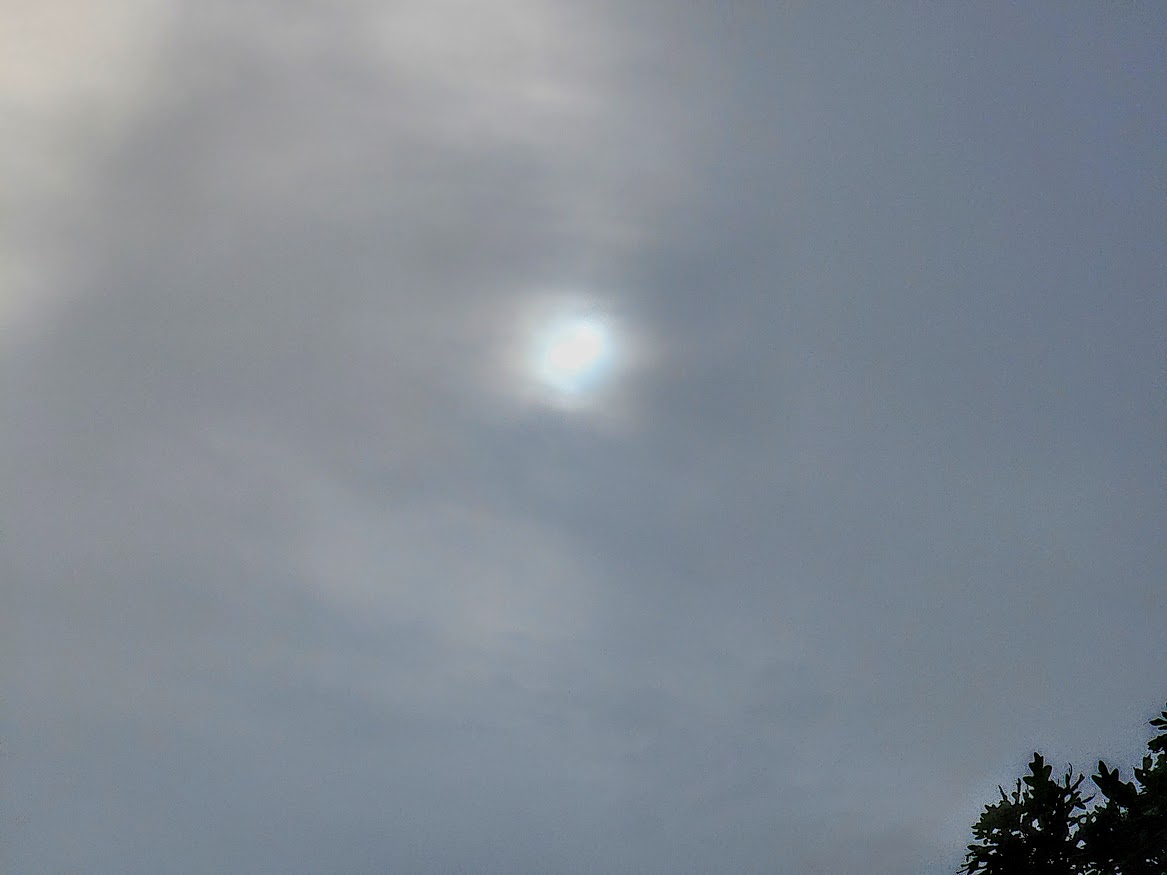 Shadow Sun: . Sun as mere shadow of self.