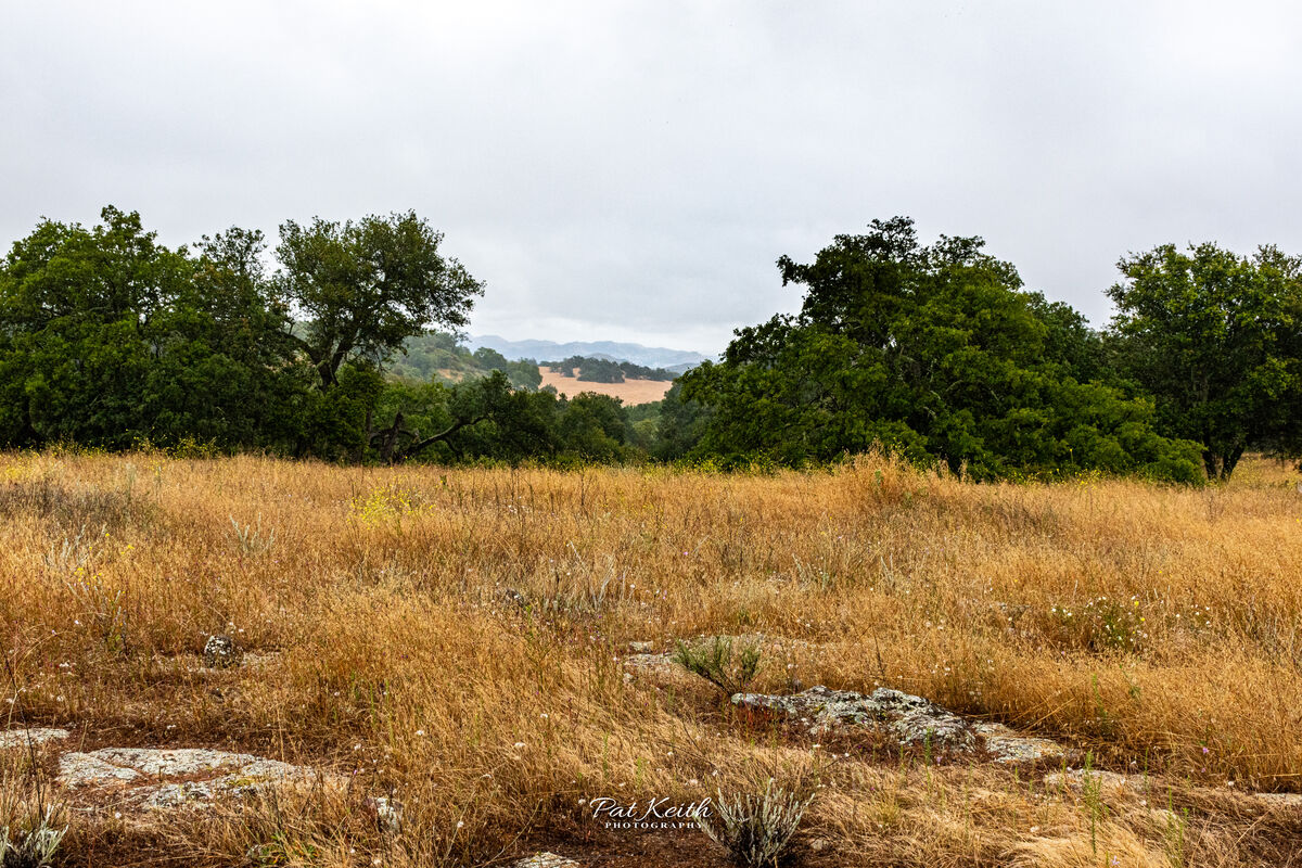 Santa Rosa Plateau: The Santa Rosa Plateau, located in the hills of ...