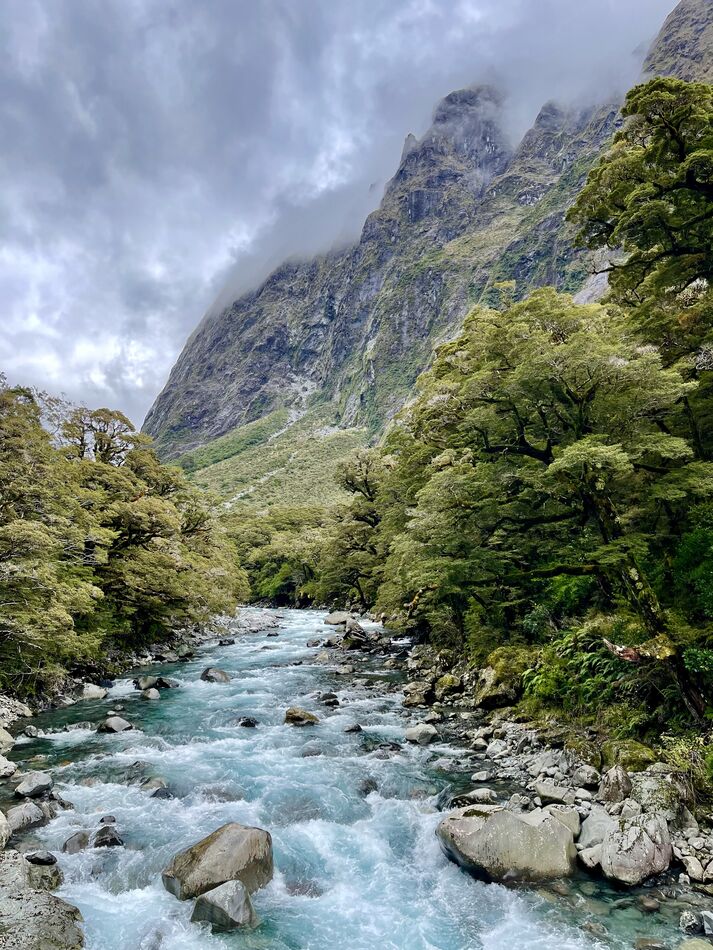 Pretty New Zealand stream: Most of the streams were very mineral rich ...