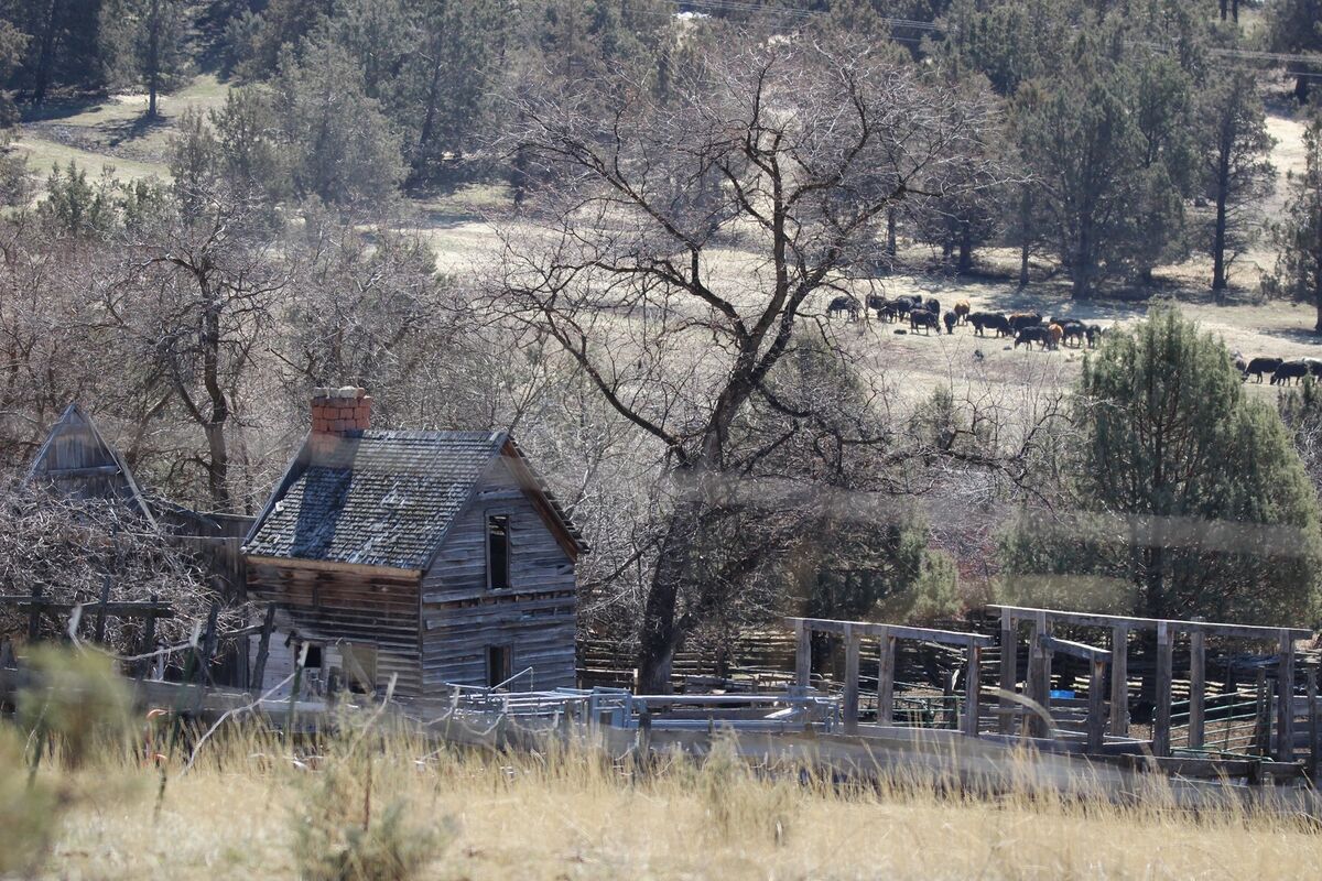 old ranch: love this house