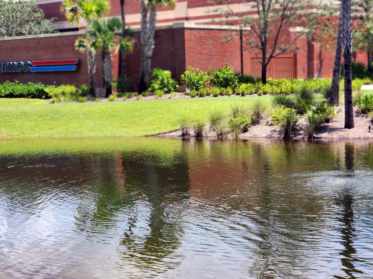 Brumos Car Museum, Jacksonville, Florida. Part 1:...