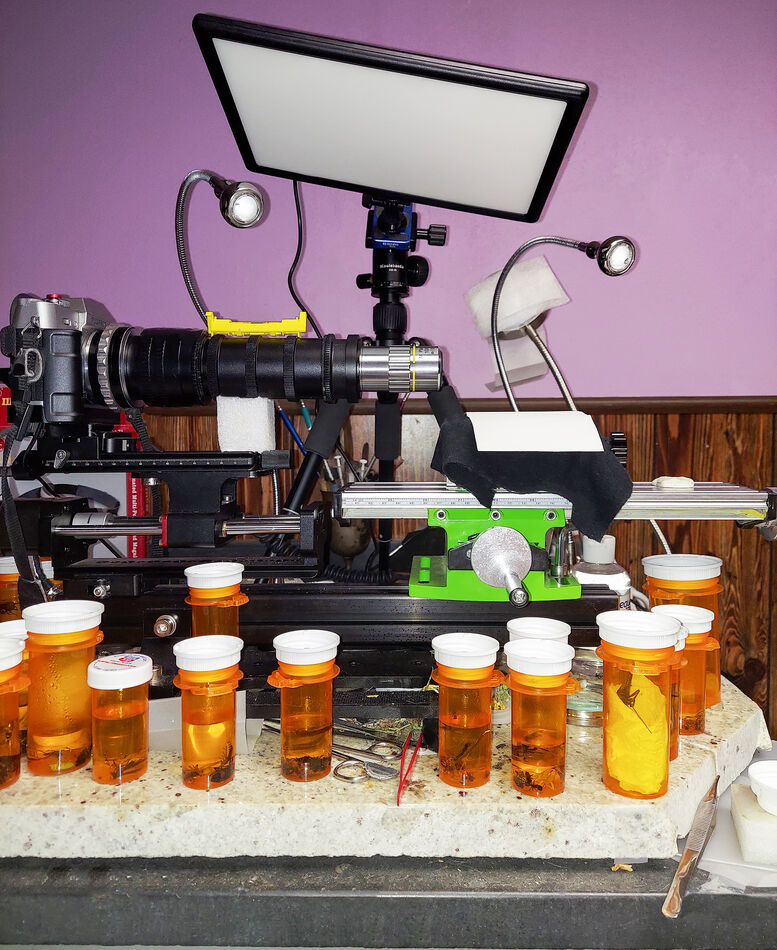 Focused Stacking Macro Rig: I often post focused stacked images staged ...