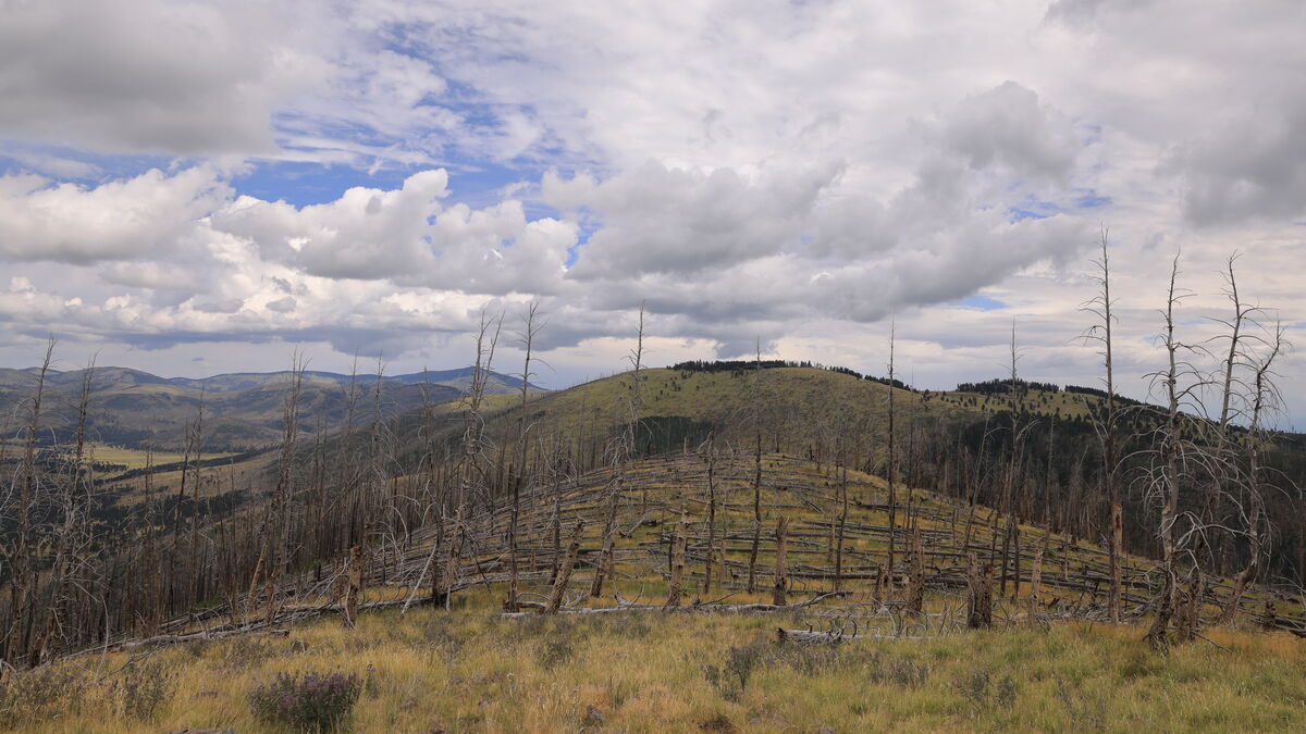 The Mighty Outdoors Cerro Peak NM: The Mighty Outdoors Cerro Peak NM...