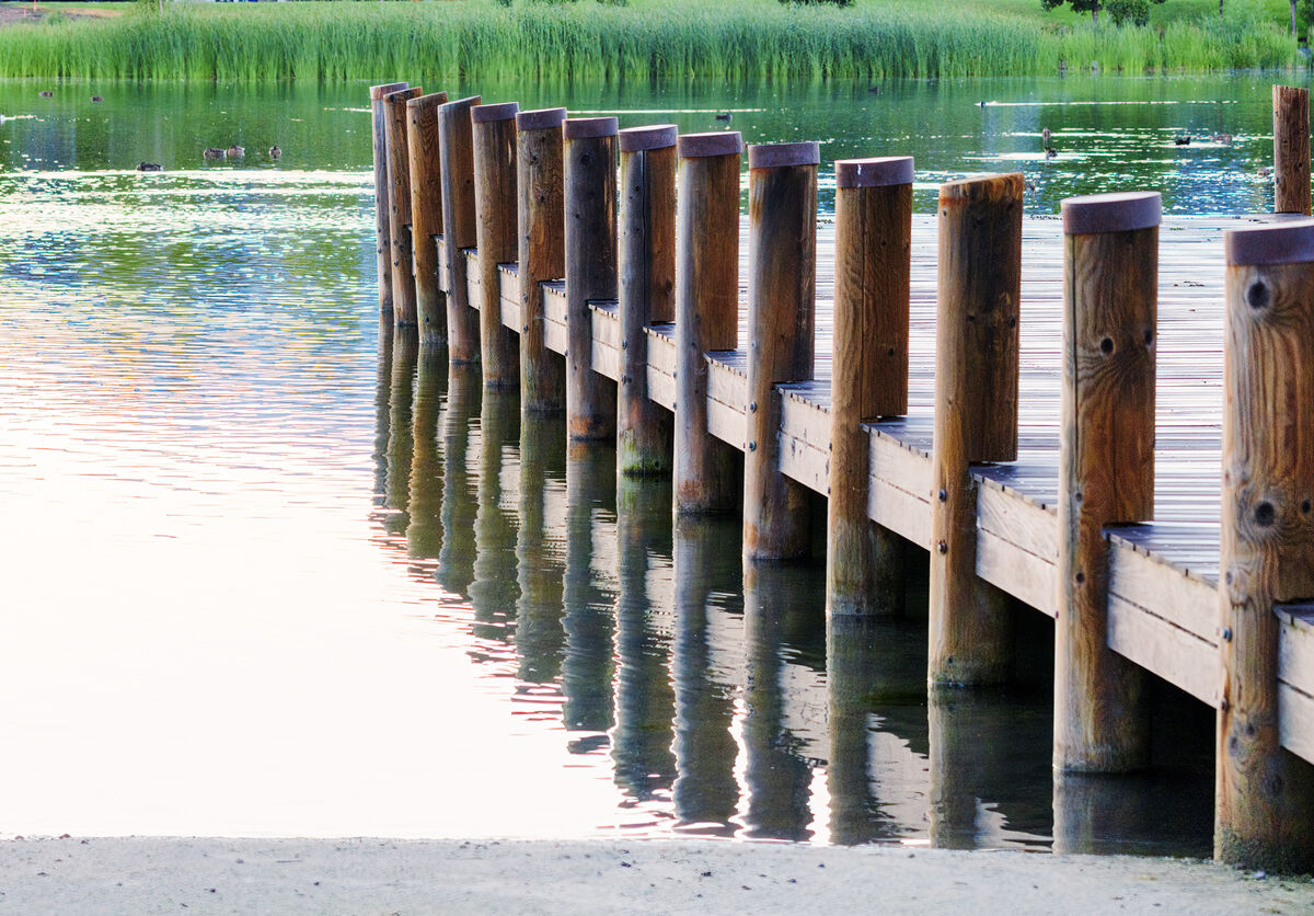 Lake views: When I took the bird photos last week, I also took a few ...