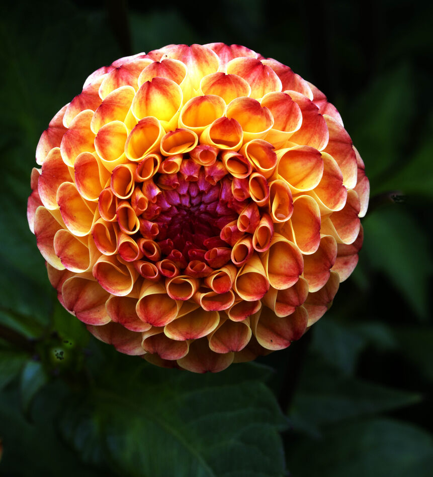 Mendocino County California in Summer: While visiting good friends in ...