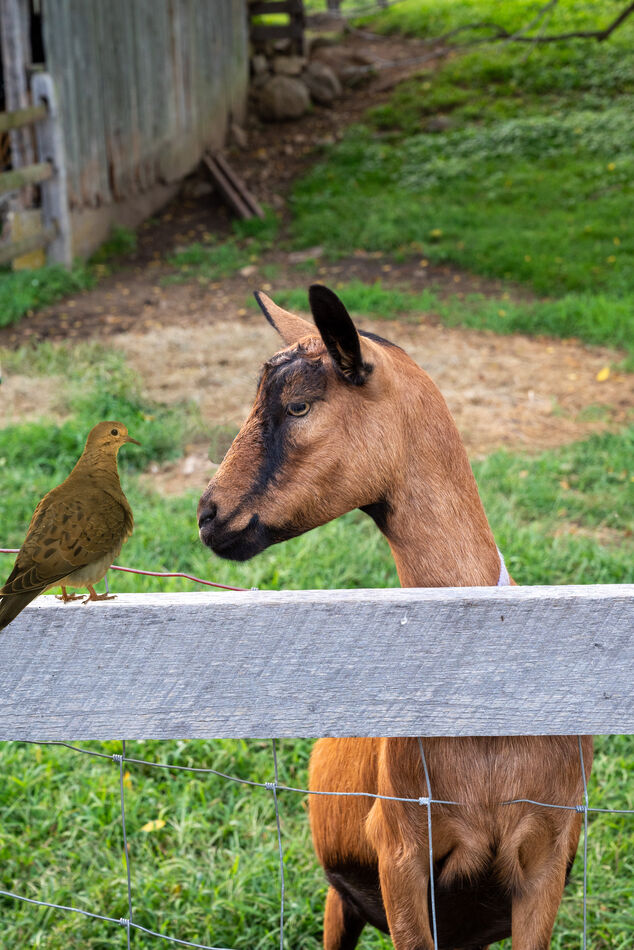 BFF: A simple composite. Nothing fancy in my creating it. For me just a ...