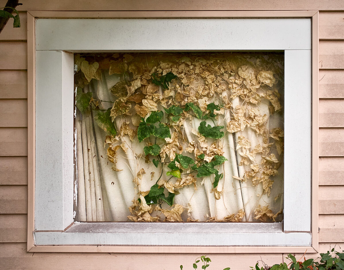 Unusual Garage Window: Got out for a walk this morning before the rain ...